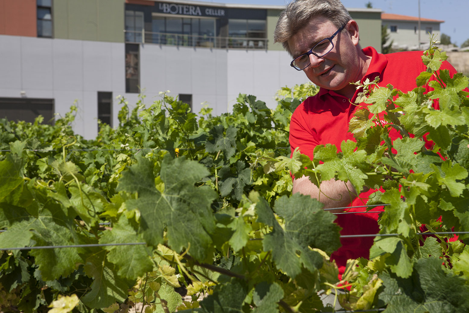 Celler La Botera - Terra Alta